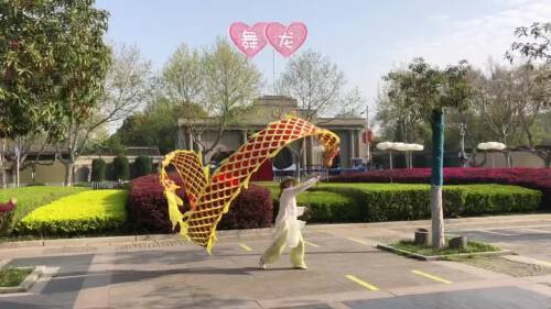 我运动我健康中国传统运动舞龙