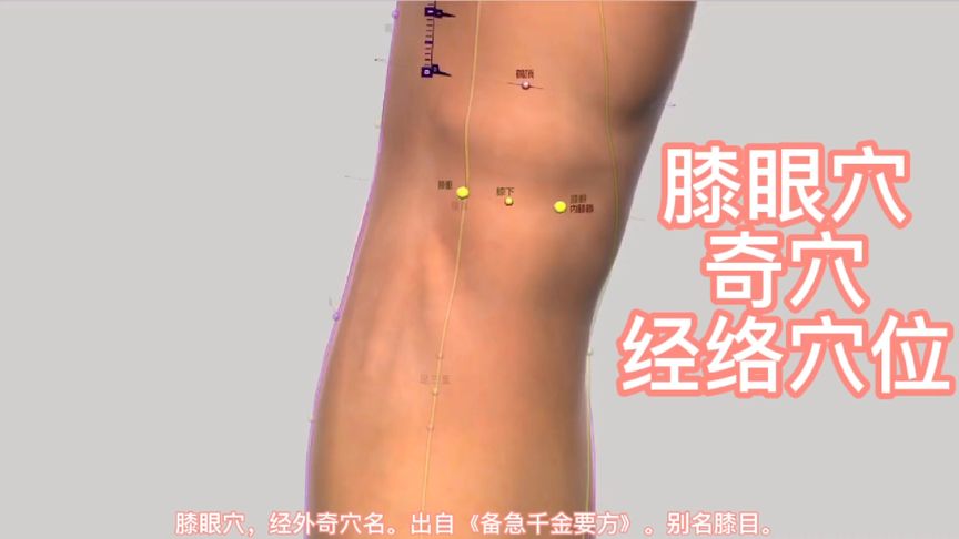 膝眼穴_奇穴_经络穴位