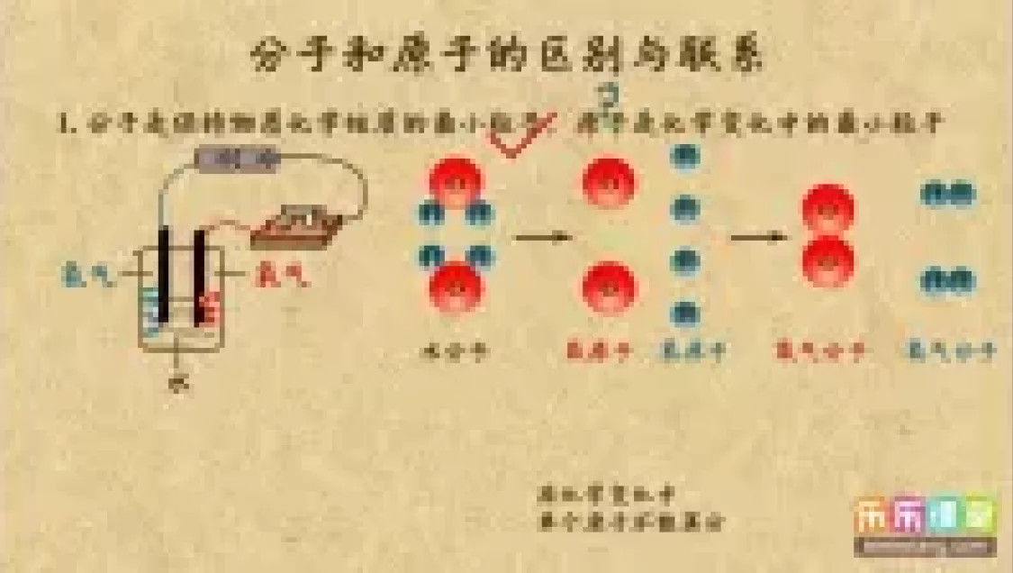 初中化学九年级上册 分子与原子的区别与联系