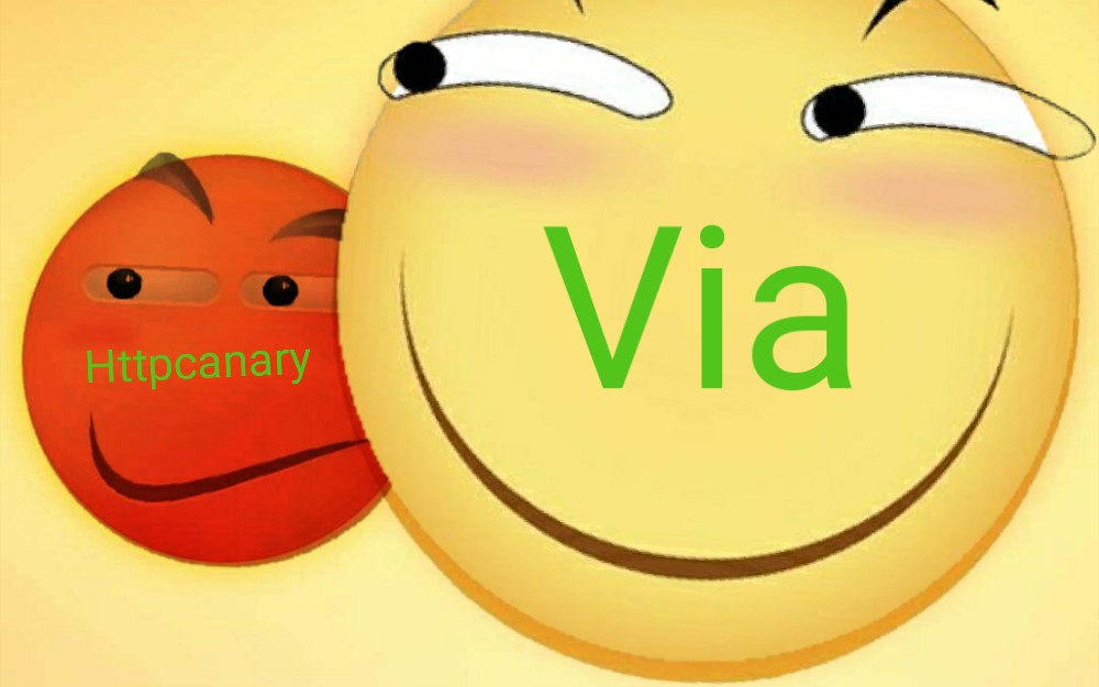 【自制】via浏览器的用法之一(3)配合抓包软件httpcanary一起食用