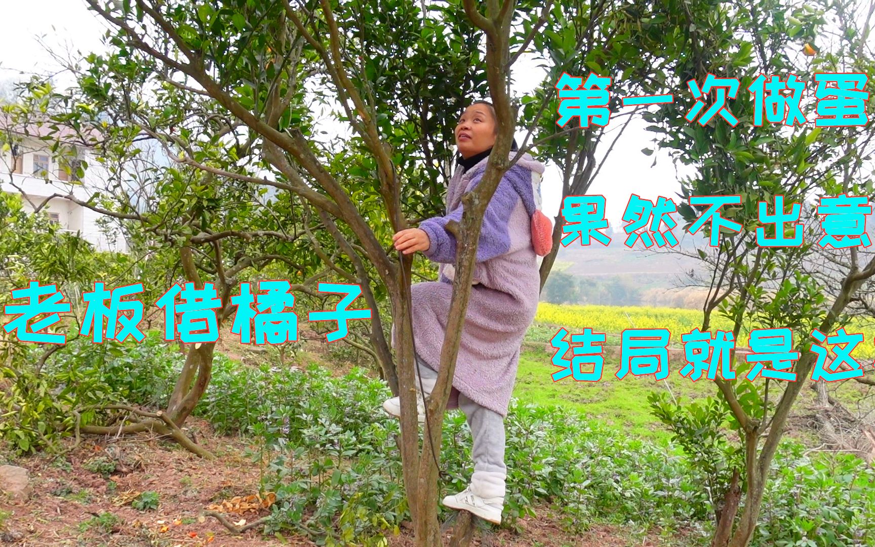 据说只用电饭煲就能做出蛋糕?老板决定尝试下,最后结果居然这样