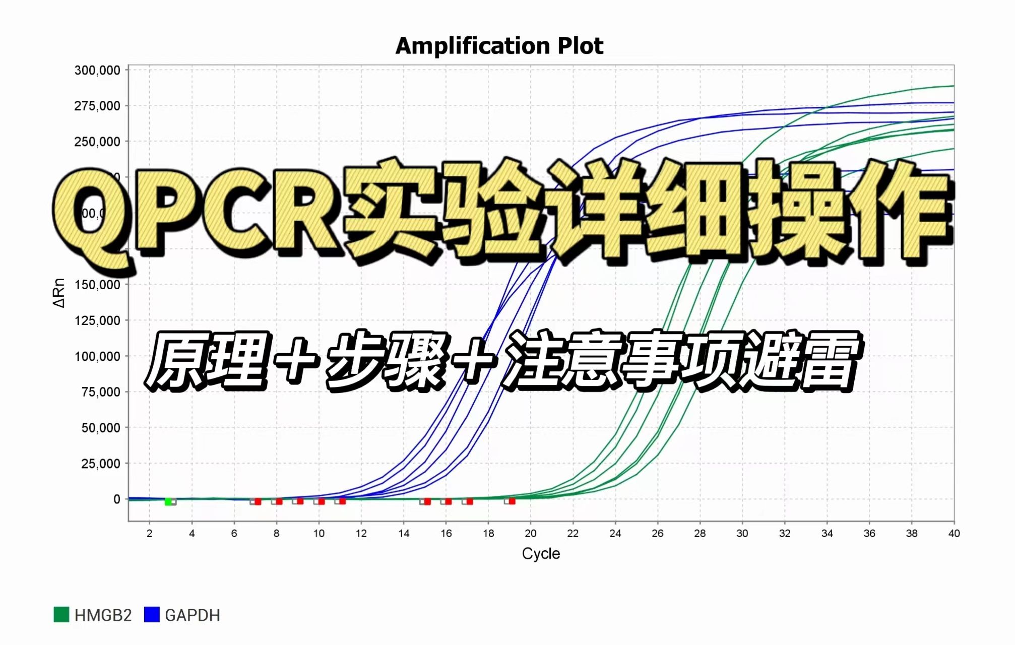 QPCR实验详细步骤总结II原理+步骤+注意事项