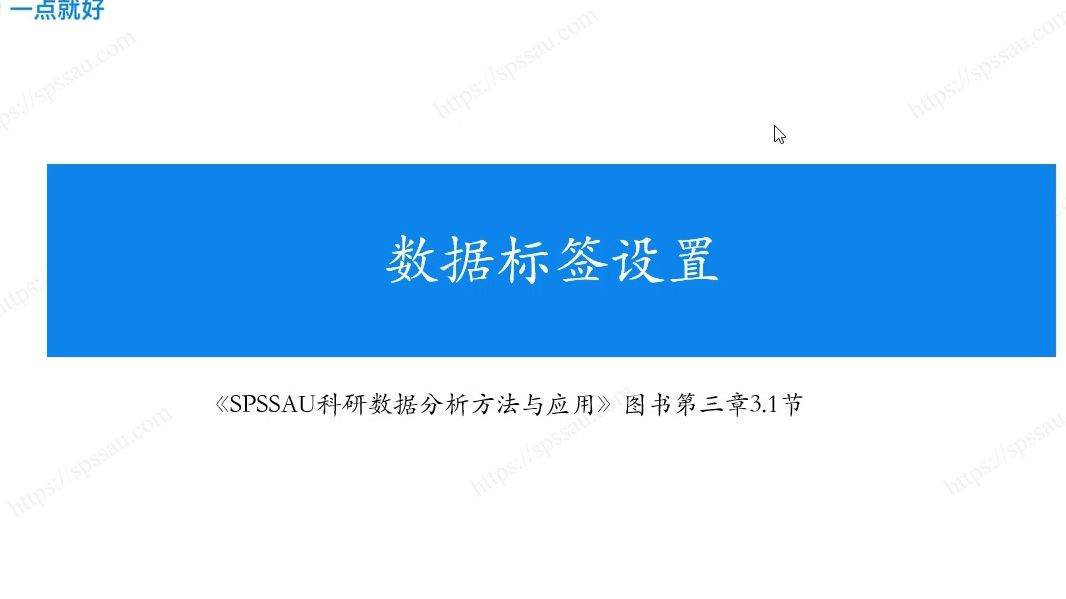 SPSSAU原始数据整理,数据预处理之数据标签设置