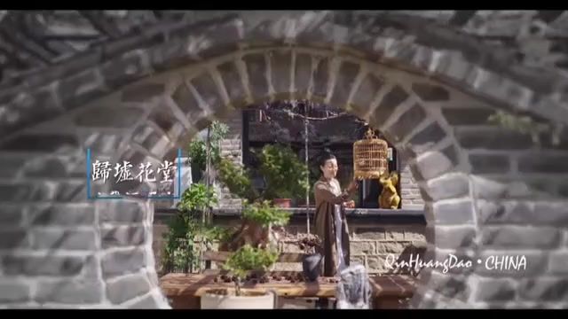 秦皇岛市旅游宣传片#秦皇岛旅游 #美丽河北