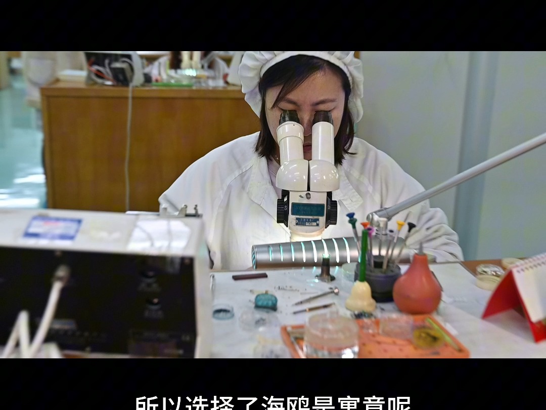 海鸥表logo用英文的原因