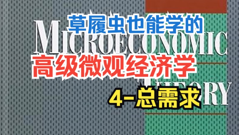 【MWG】草履虫也能学会的高微(四)总需求|高级微观经济学(MasColell...