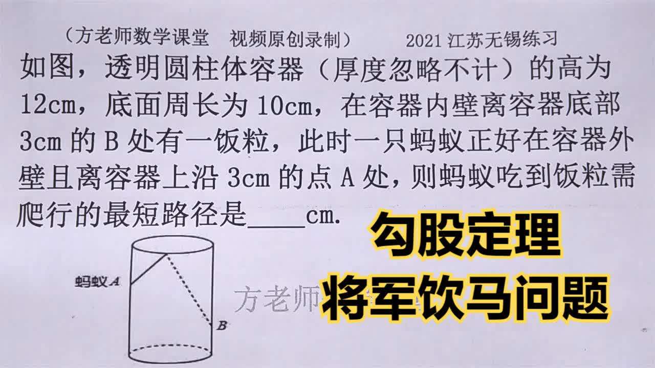 .蚂蚁爬行的最短路径?将军饮马问题,勾股定理