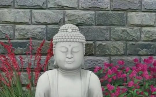 庭院如何做雨水收集井?确保大雨来临时,快速排水到污水井内