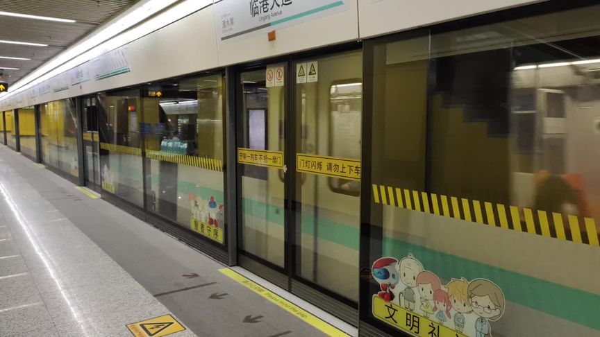 上海16号线大站车临港大道站出站#上海地铁16号线