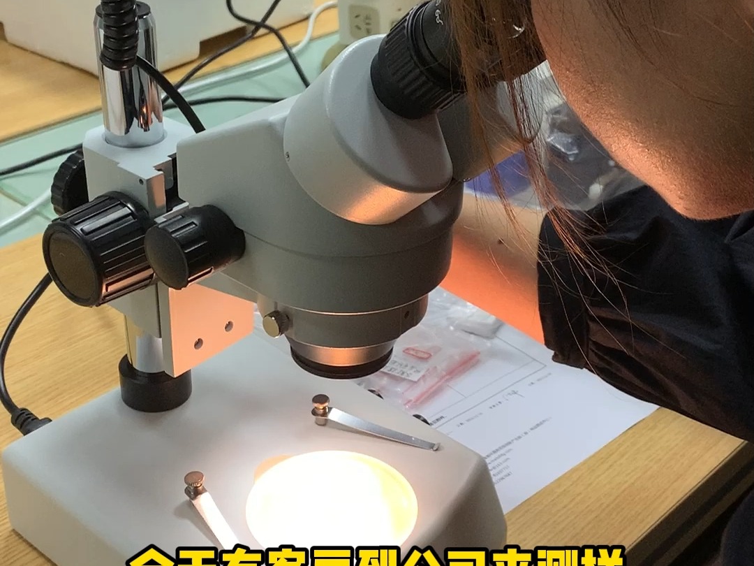 卤素灯体视显微镜观察线虫