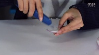 洋葱内表皮玻片标本制作沙城一小杨晓晓