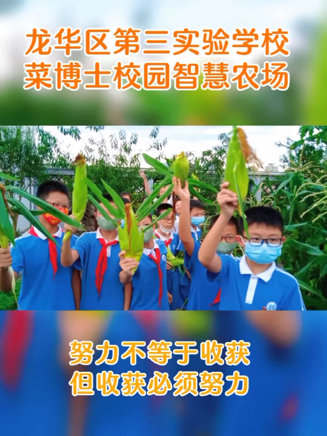 劳动教育活动实践基地推荐,欢迎你来参观了解怎么样;广东深圳劳动...