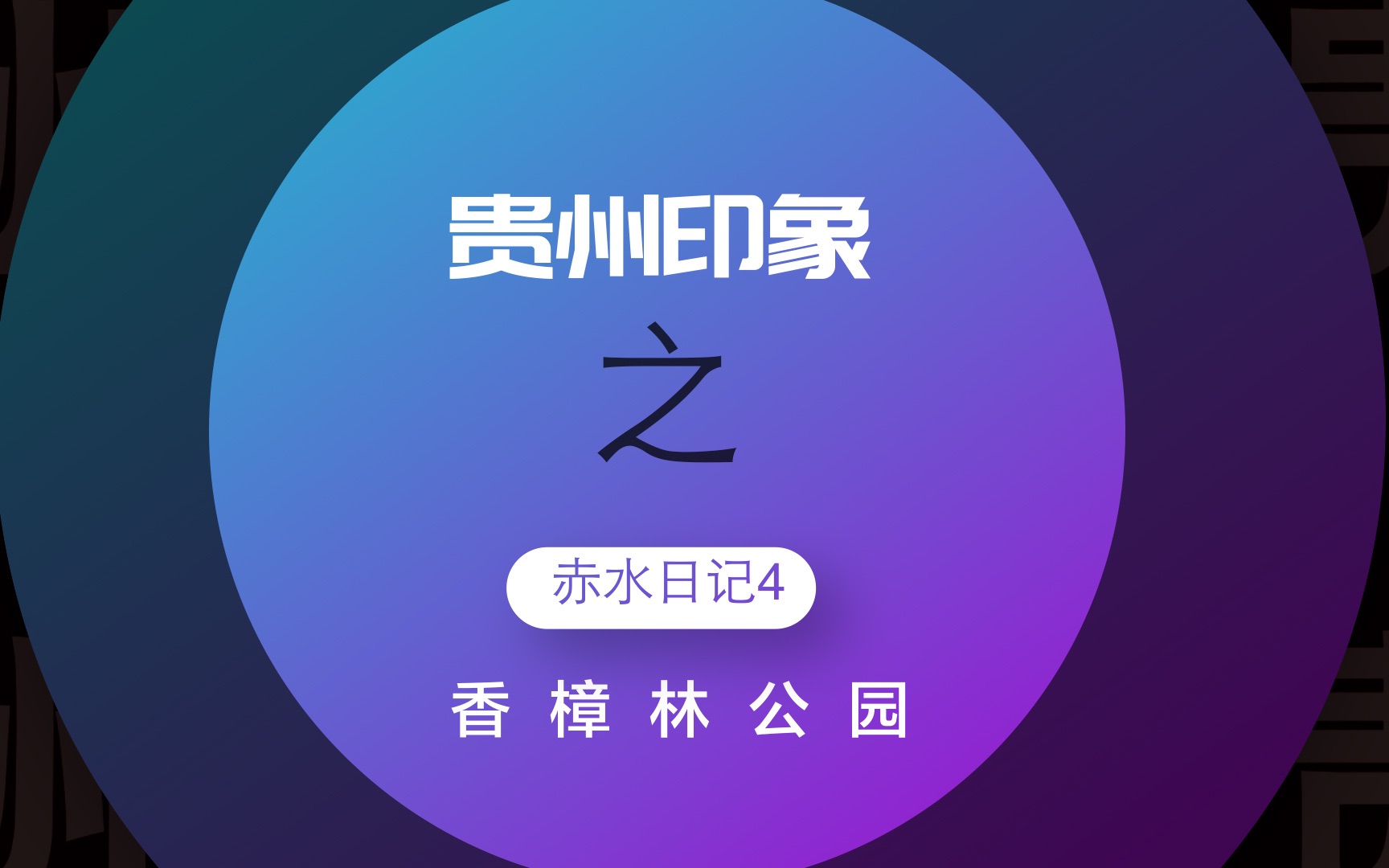 大军带你去旅行 香樟林公园 不同视角看世界