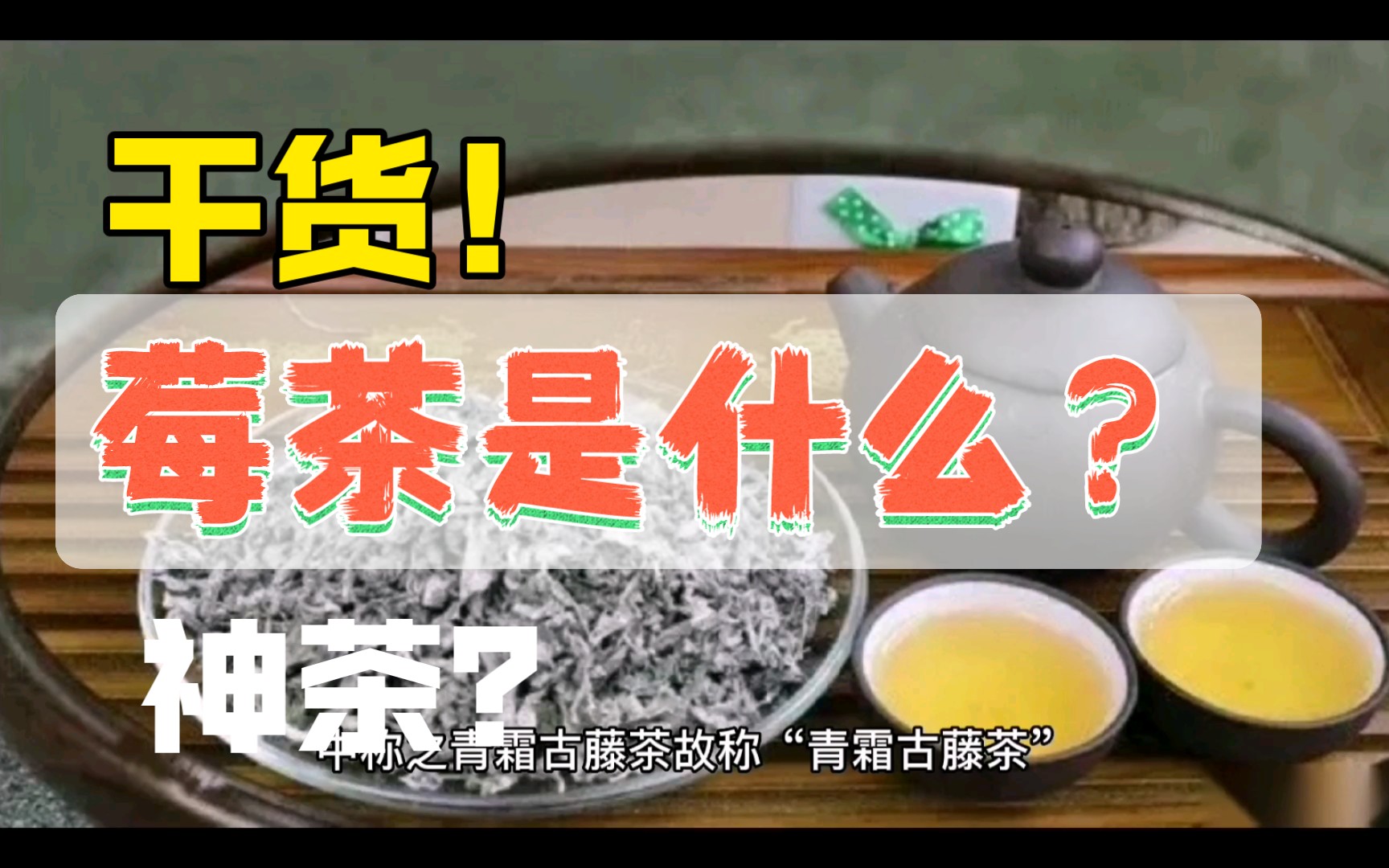 干货知识丨莓茶是什么?