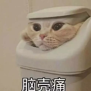 沐浴康乃馨的芬芳 