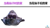 毒夕绯当毒仙子时的家vs当花仙子后的家,粉嫩又闪亮,女孩都喜欢