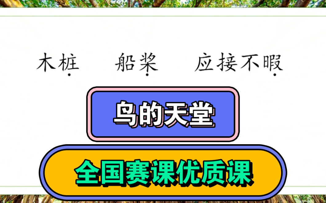 22届赛课获奖优质课《鸟的天堂》胡珊珊教学实录(有课件)