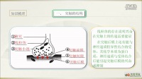 突触的结构以及兴奋在突触上的传递过程