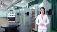 OHR-DN30温控仪 温控器 温度控制器 智能温控器 温控表 调节仪