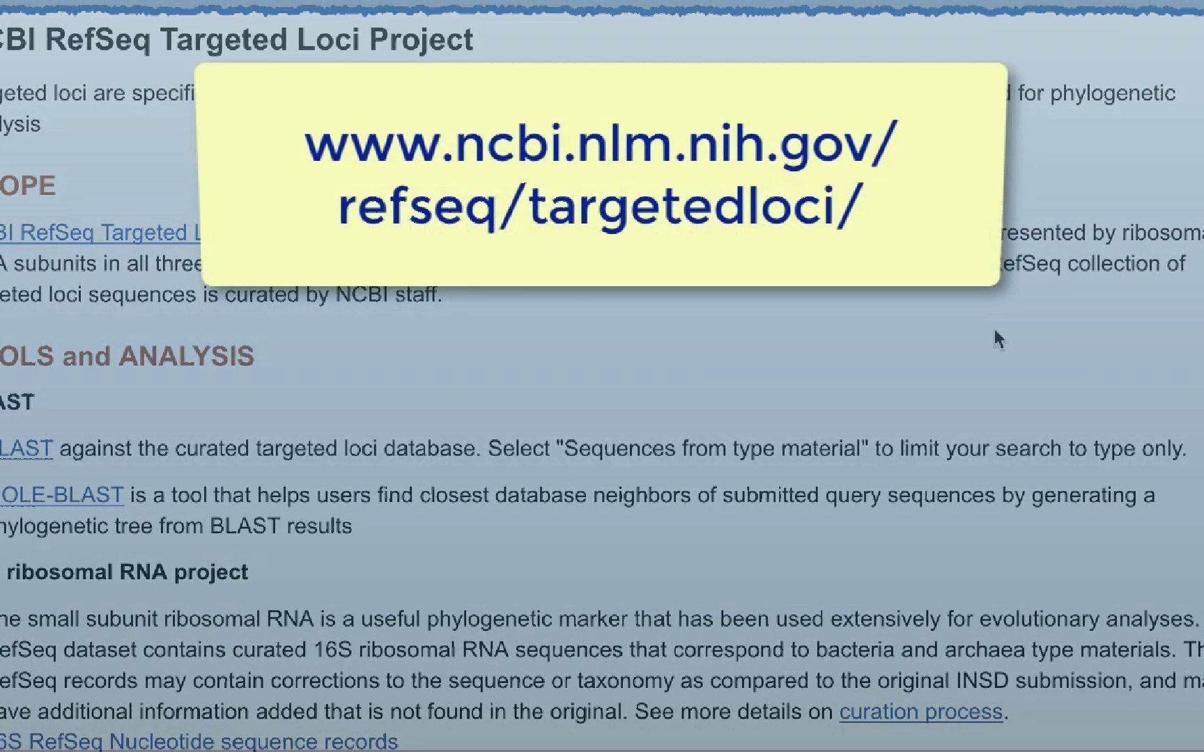 怎么鉴定你的16S rRNA序列?how to identify your 16S rRNA sequences
