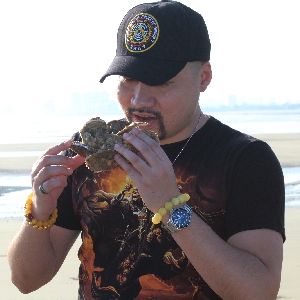 天生大壮士 
