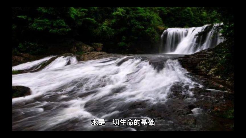 水是人体器官的保护伞,水是一切生命的源泉