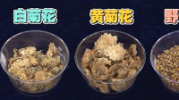 菊花泡水功效多,治疗感冒养肝明目,但可要学会挑种类