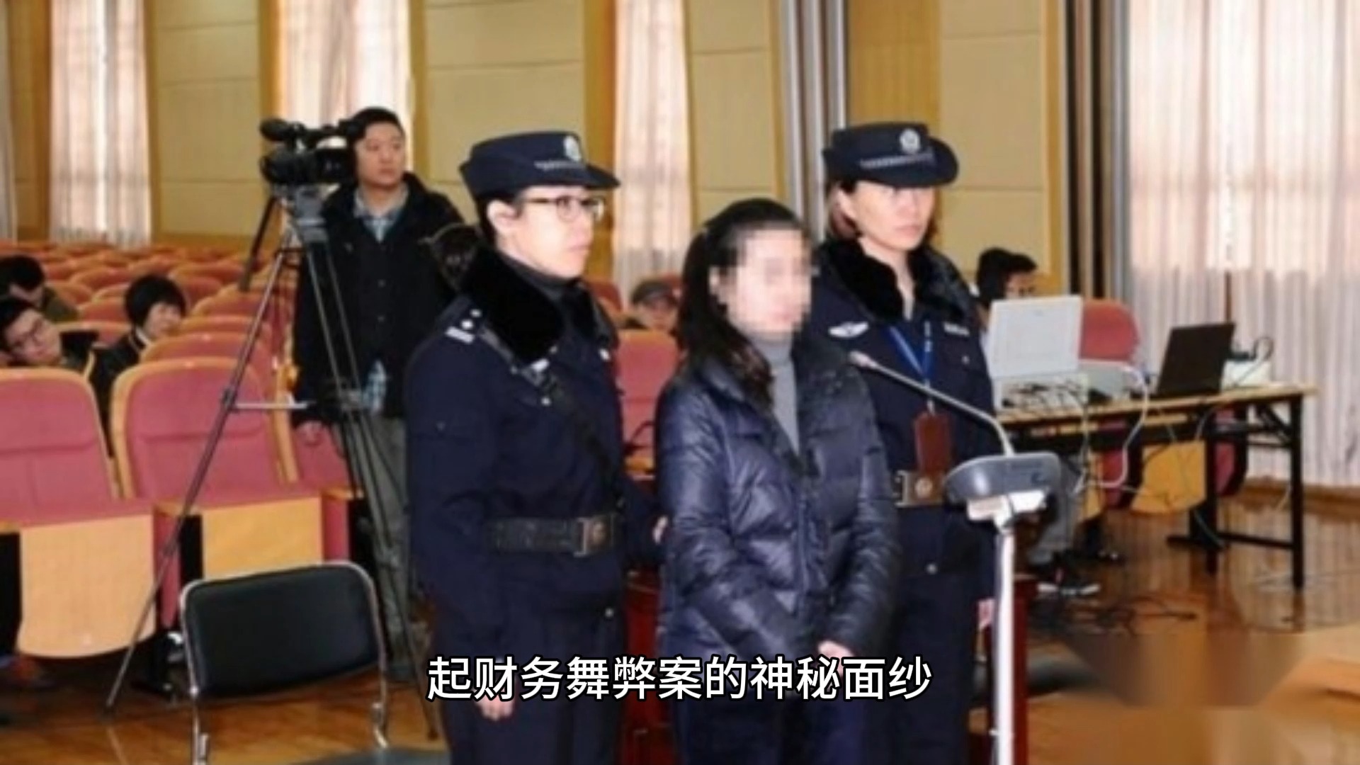 VCASE00364-“上海物资贸易股份有限公司财务舞弊案:审计业务循环...