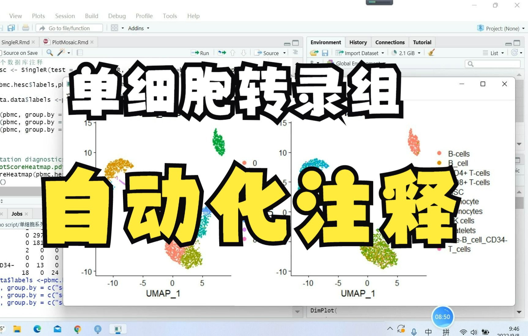 SCS【6】单细胞转录组之细胞类型自动注释 (SingleR)