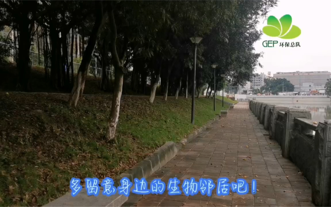 2022-5-22 国际生物多样性日