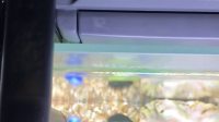 ￼￼森森 外置过滤器 壁挂过滤器 去除油膜壁挂瀑布式过滤 鱼缸过滤...