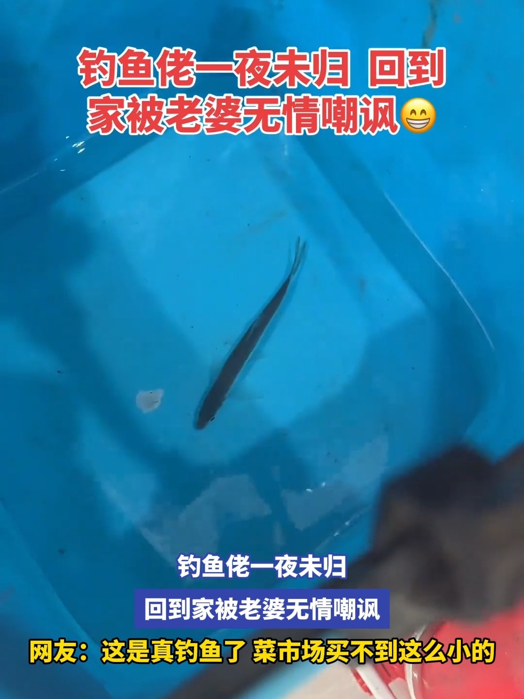 钓鱼佬一夜未归,回到家被老婆无情嘲讽,网友:这是真钓鱼了