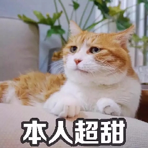 bianzhenzhen2016 