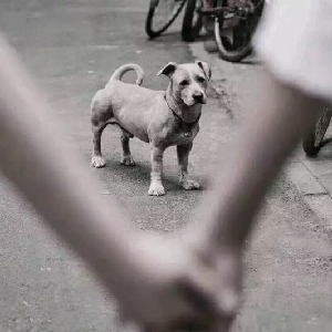 深邃的下限 