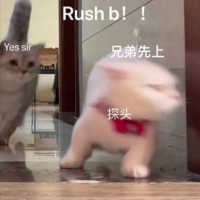 好好学习诺诺 