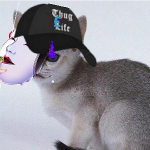 singapura新加坡猫 