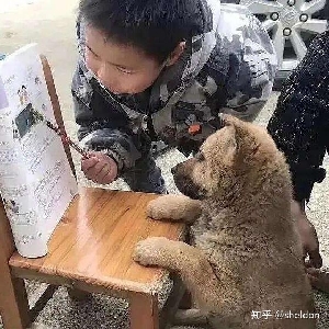 intp的试验田 