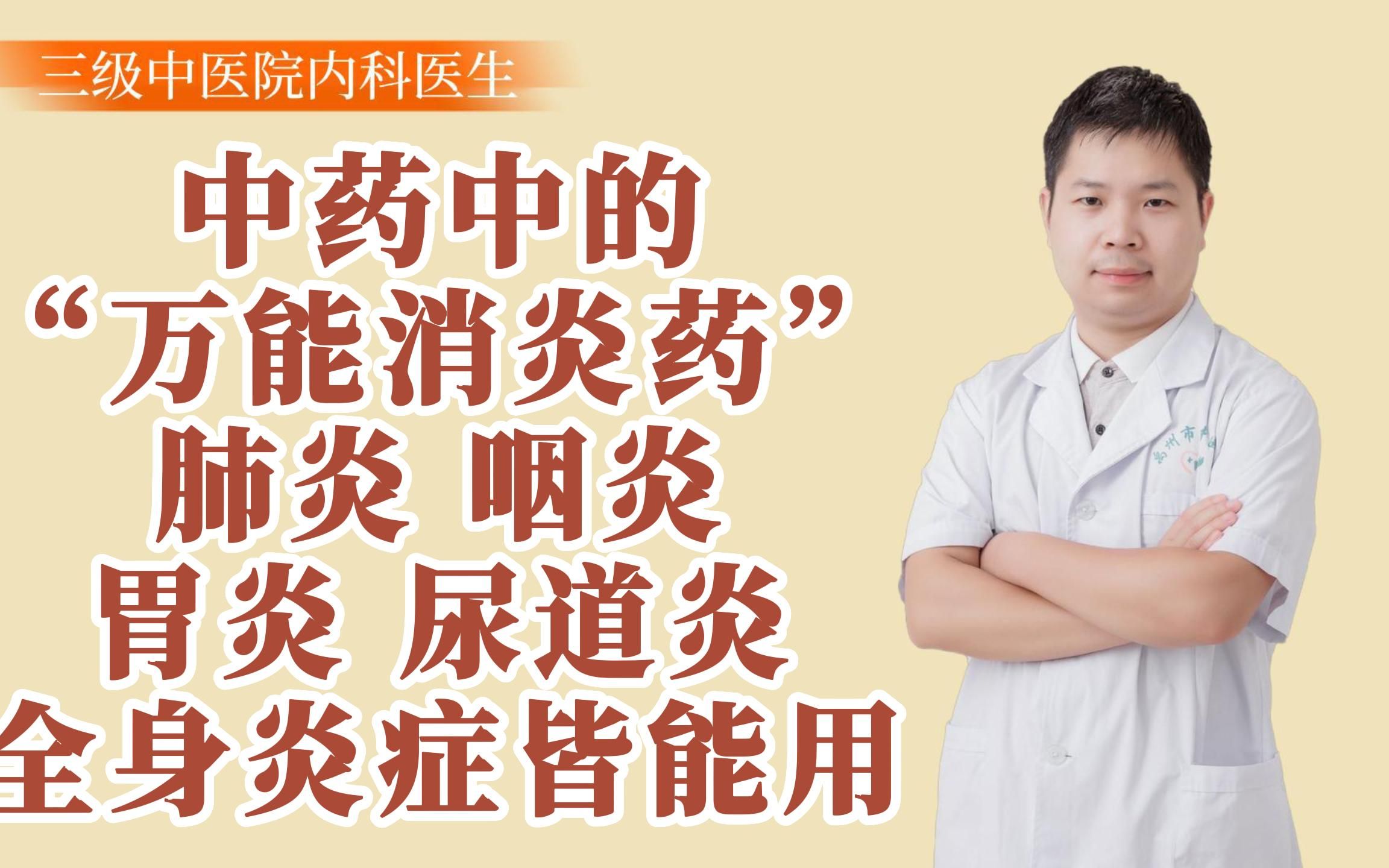 中药中的“万能消炎药”,肺炎、咽炎、胃炎尿道炎 全身炎症皆能用