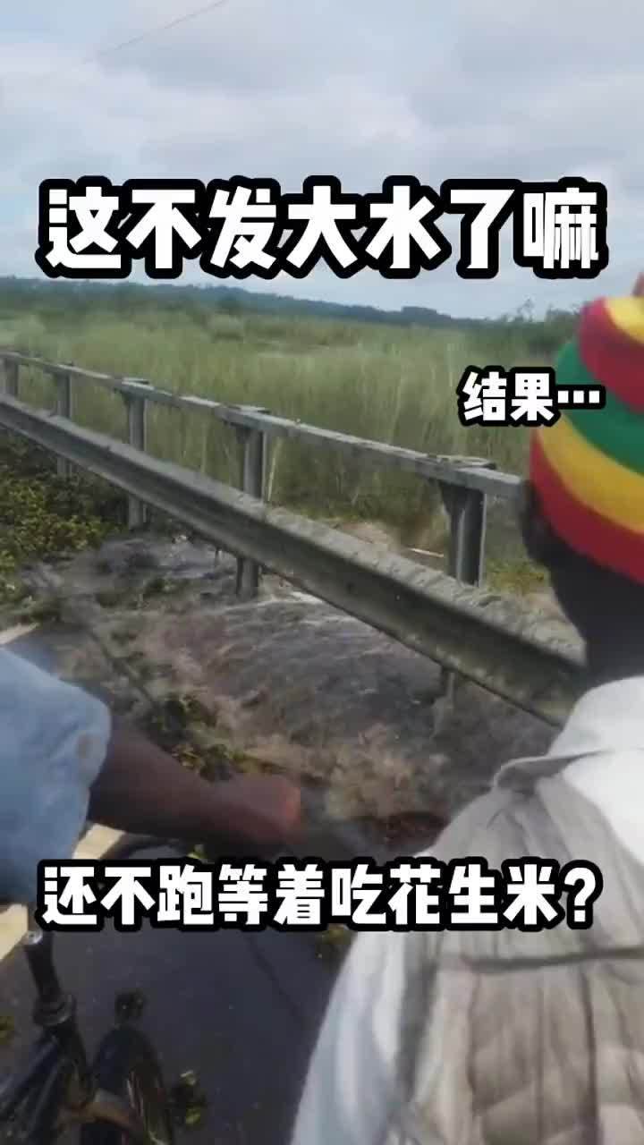 这么结实的桥,一看就是中国制造
