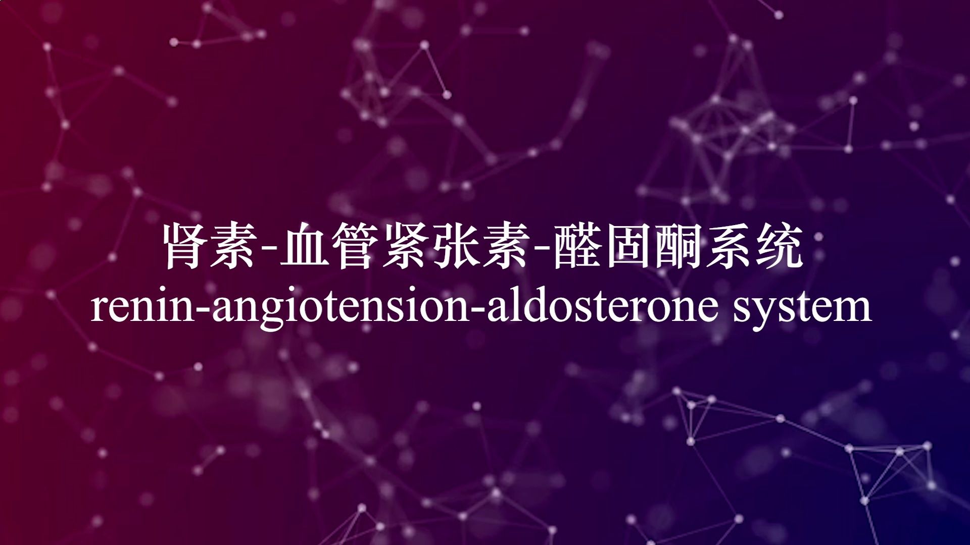 用一张图解释肾素-血管紧张素-醛固酮系统