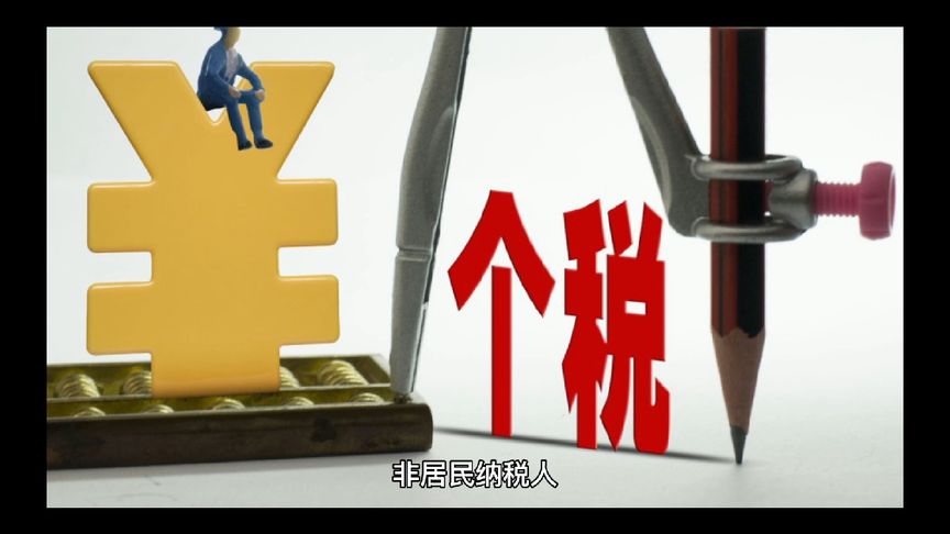 个税非居民纳税人的定义