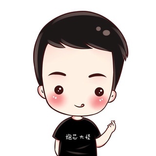 炮芯游戏解说