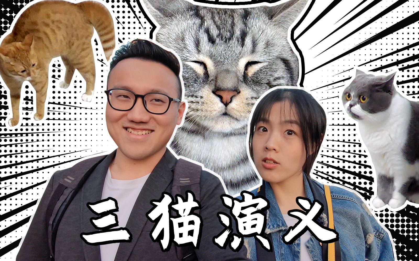 【男左女右】新猫驾到,老猫炸毛,看我们如何应对!