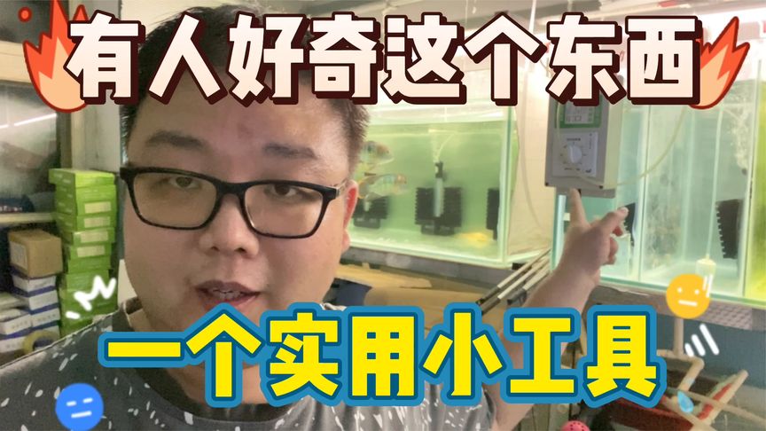 好多人问我这个东西是什么这个一个生活和养鱼中很实用的小工具