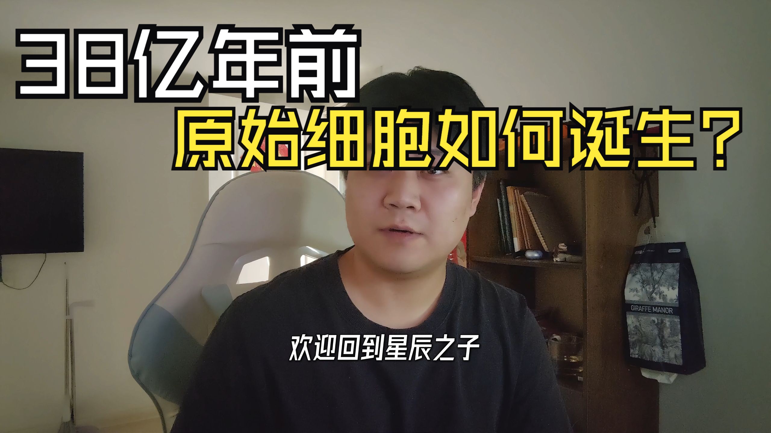 星辰之子(中):38亿年前,原始细胞如何诞生?