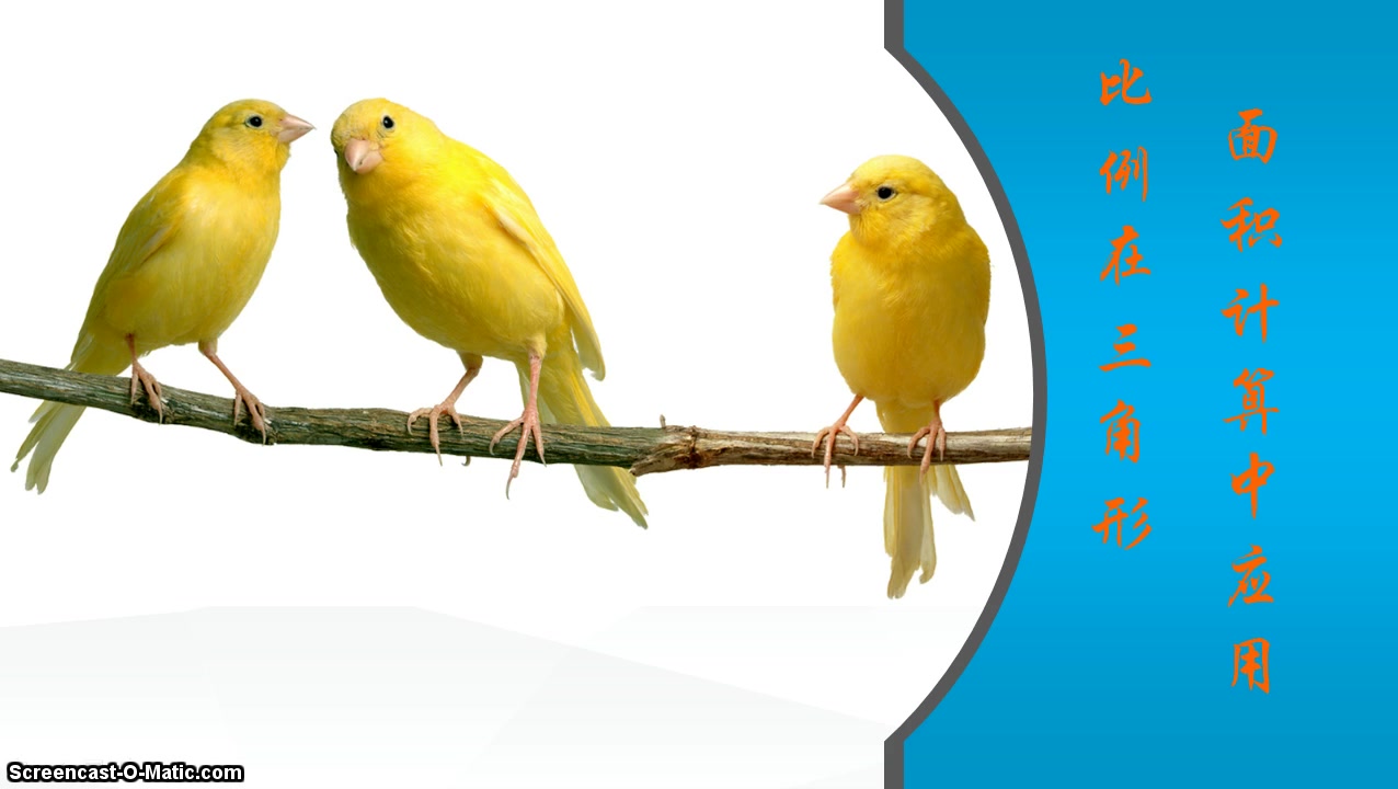 [小升初数学]利用比例,巧妙换算,快速计算等高题型三角形面积