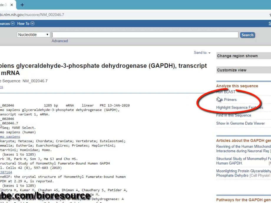 Primer designing for real time PCR using NCBI Primer Blast