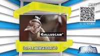 奇瑞东方之子汽车维修技术 02-畅易汽车维修视频