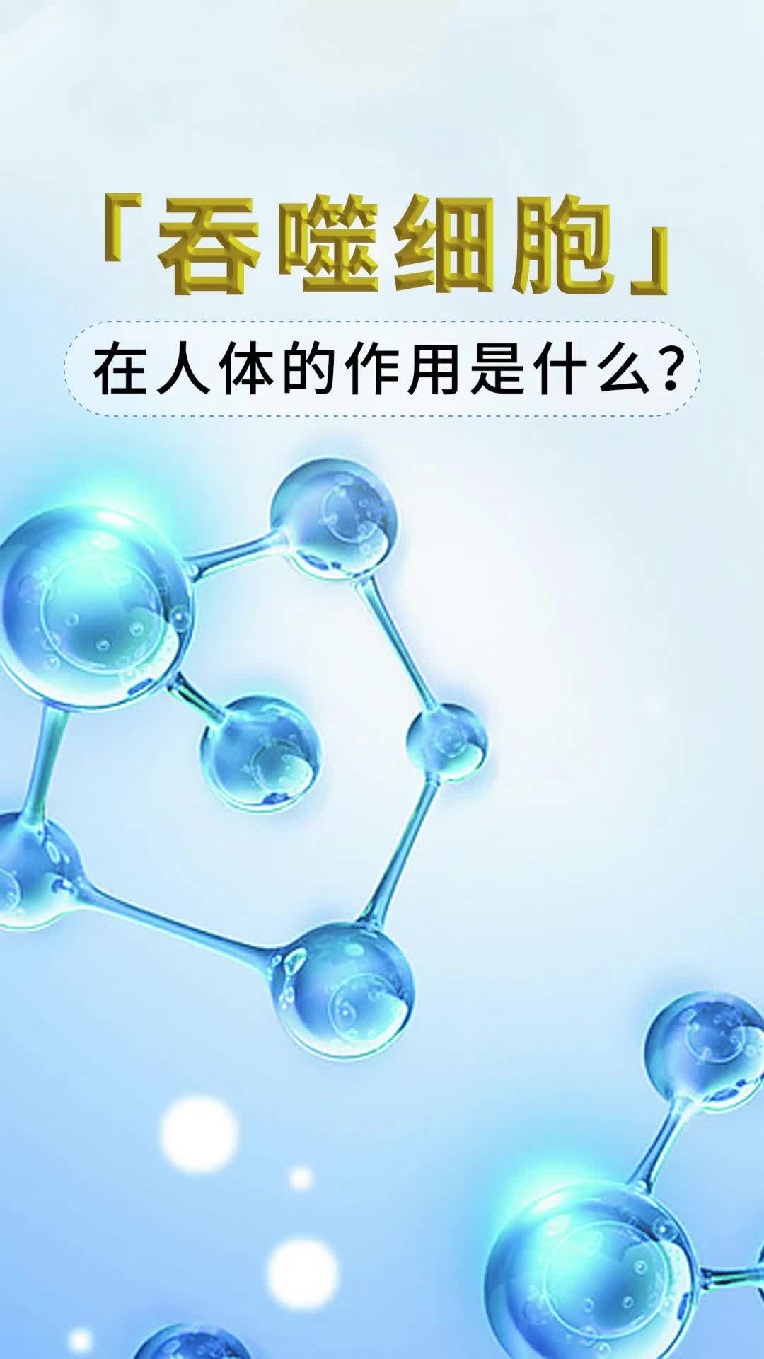吞噬细胞的功能与作用是什么?