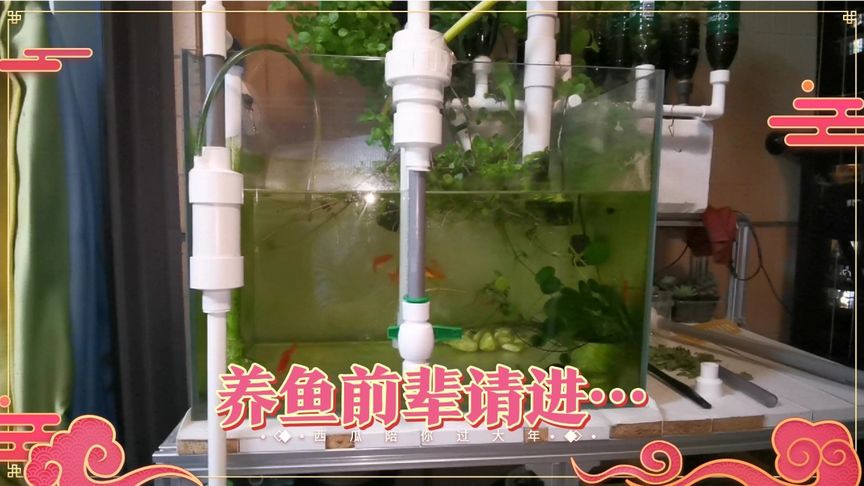 虹吸管 制作 潮汐效果,让过滤系统更稳定